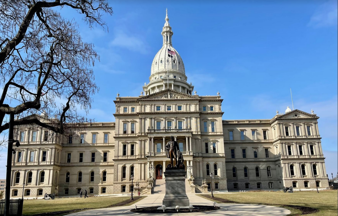 Gun Safety & Violence Prevention: Michigan State Medical Society ...